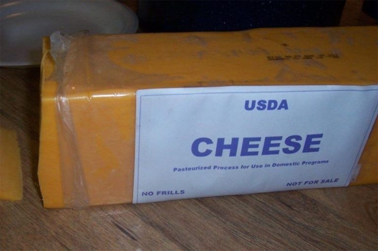 Government Cheese – The Burning Platform